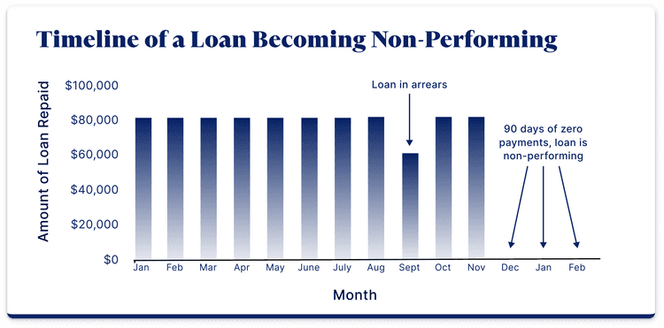 Types of Non-Performing Loans